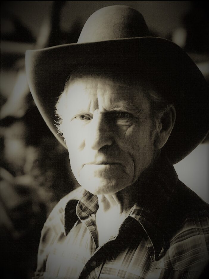 Utah man invents rodeo rigging, chutes | News, Sports, Jobs - Daily Herald